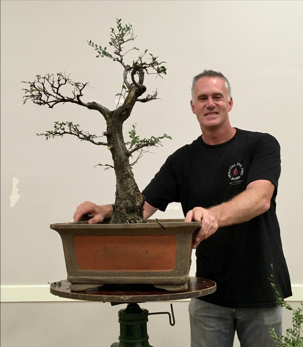 May Demonstrator: Andrew Edge | Bonsai Society of Australia Inc.