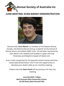 June Demonstrator Evan Marsh | Bonsai Society of Australia Inc.