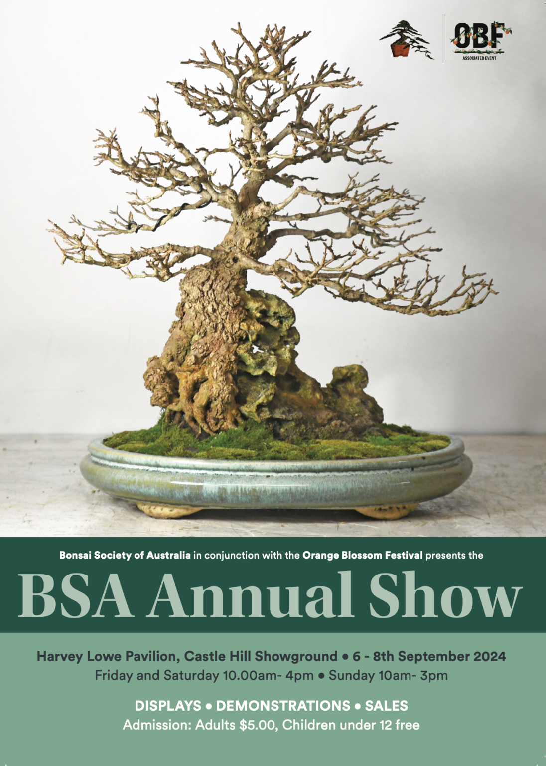 BSA Annual Show 2024 | Bonsai Society of Australia Inc.